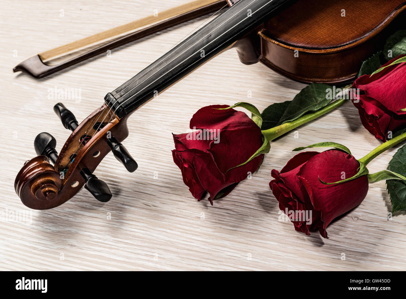 Old violin musical notes rose hi-res stock photography and images - Alamy