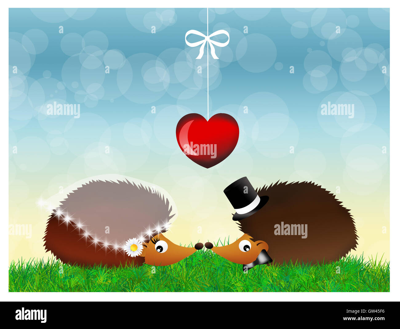 Hedgehog lovers hi-res stock photography and images - Alamy