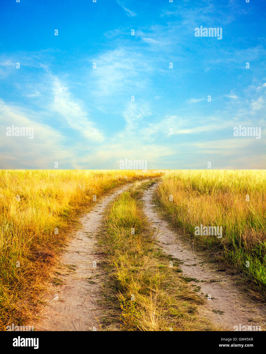Photo of the road into a field Stock Photo - Alamy