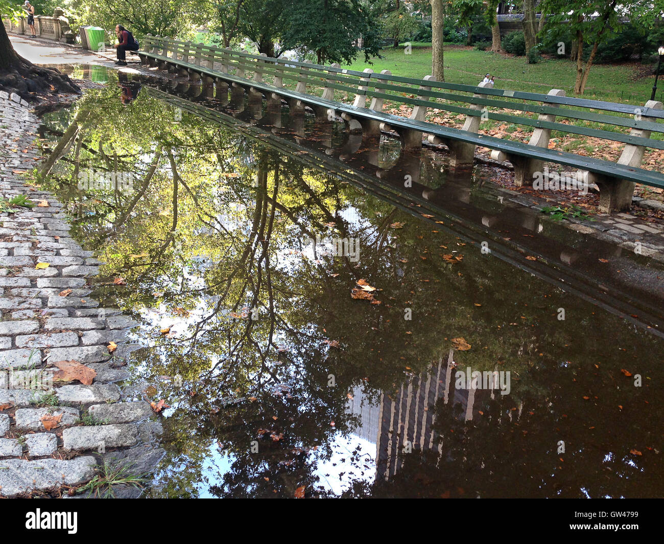 A big puddle in Central Park Stock Photo - Alamy