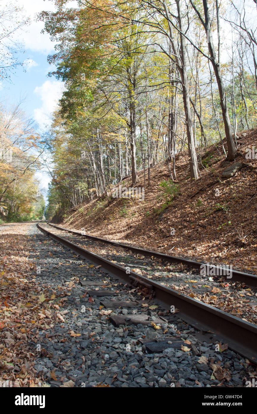 Train tracks in fall Stock Photo - Alamy