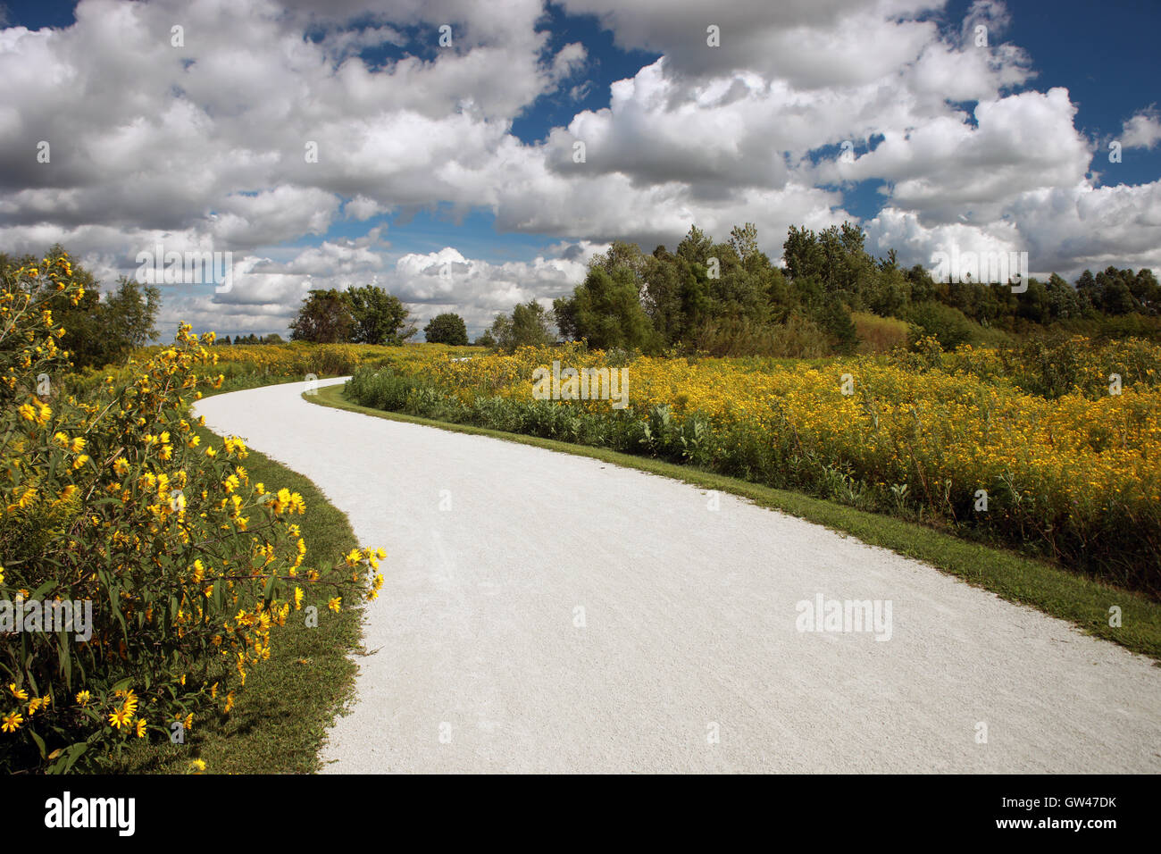 Springbrook Prairie Forest Preserve Stock Photo - Alamy