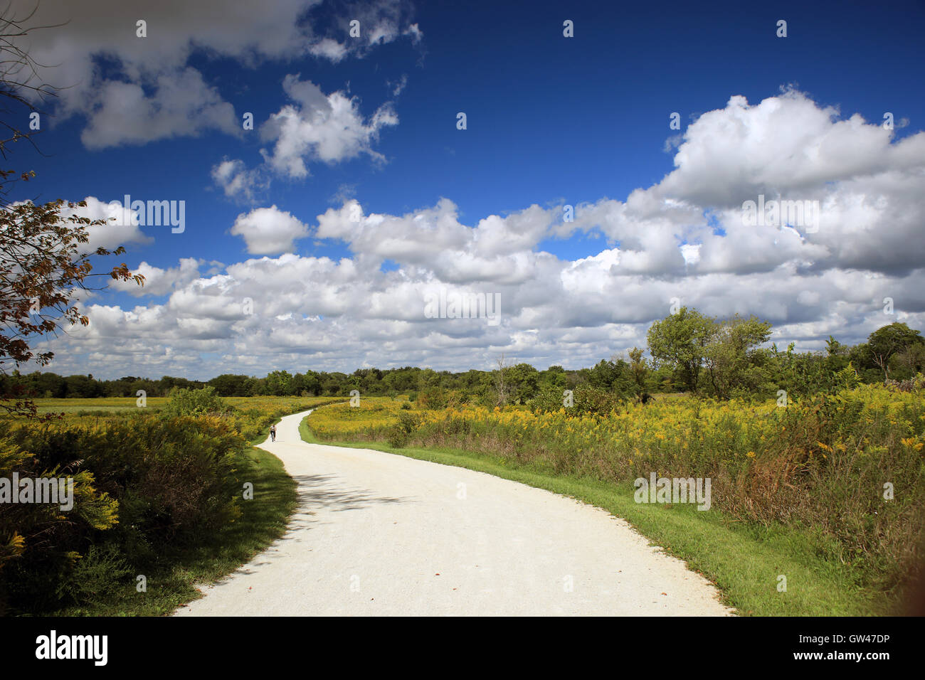 Prairie blue forest hi-res stock photography and images - Alamy