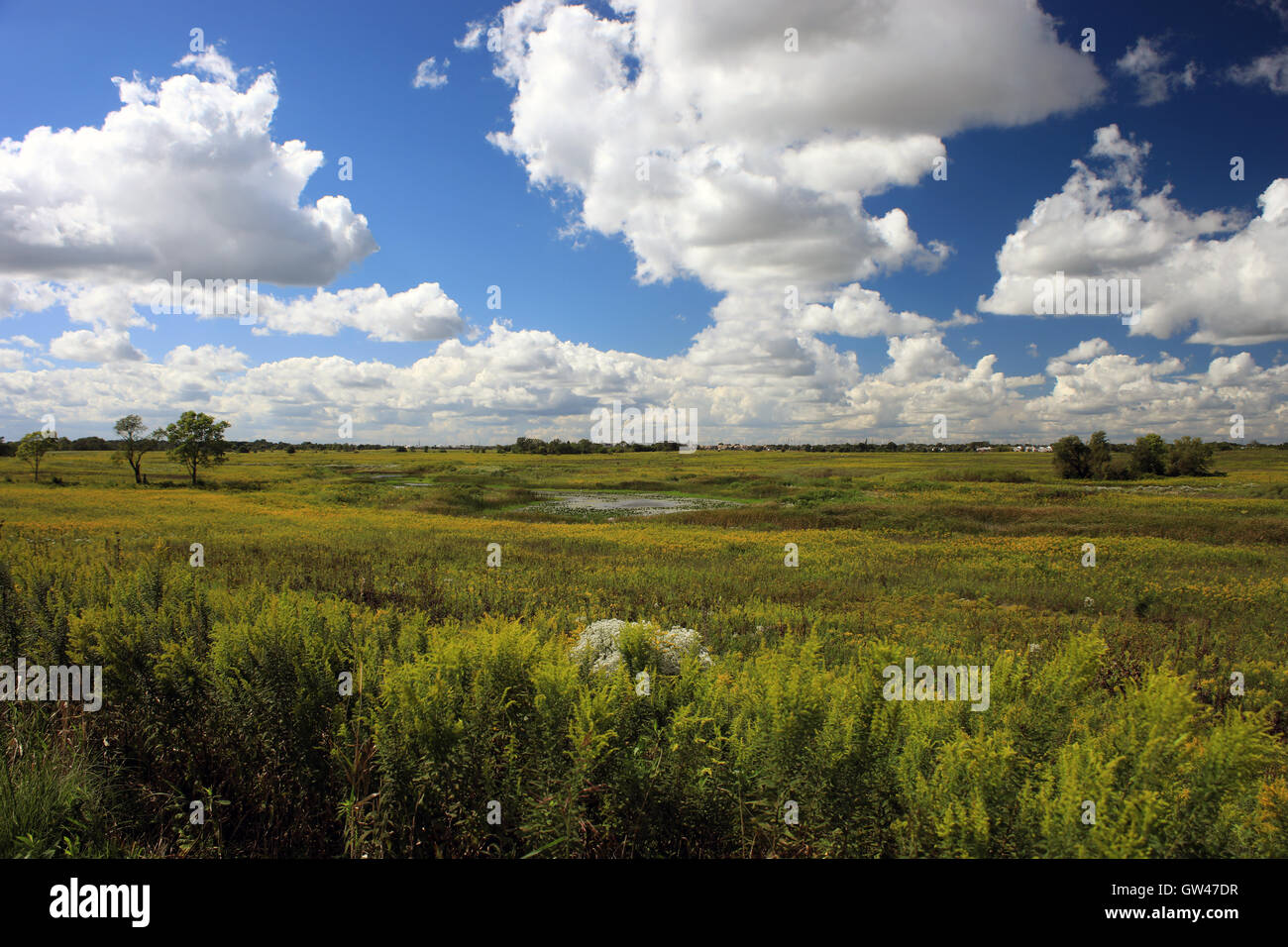 Springbrook Prairie Forest Preserve Stock Photo - Alamy
