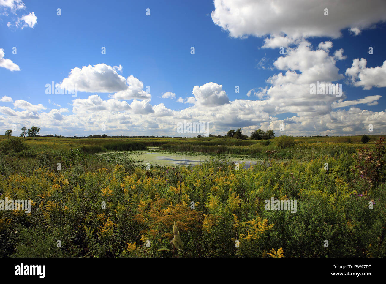 Springbrook Prairie Forest Preserve Stock Photo - Alamy