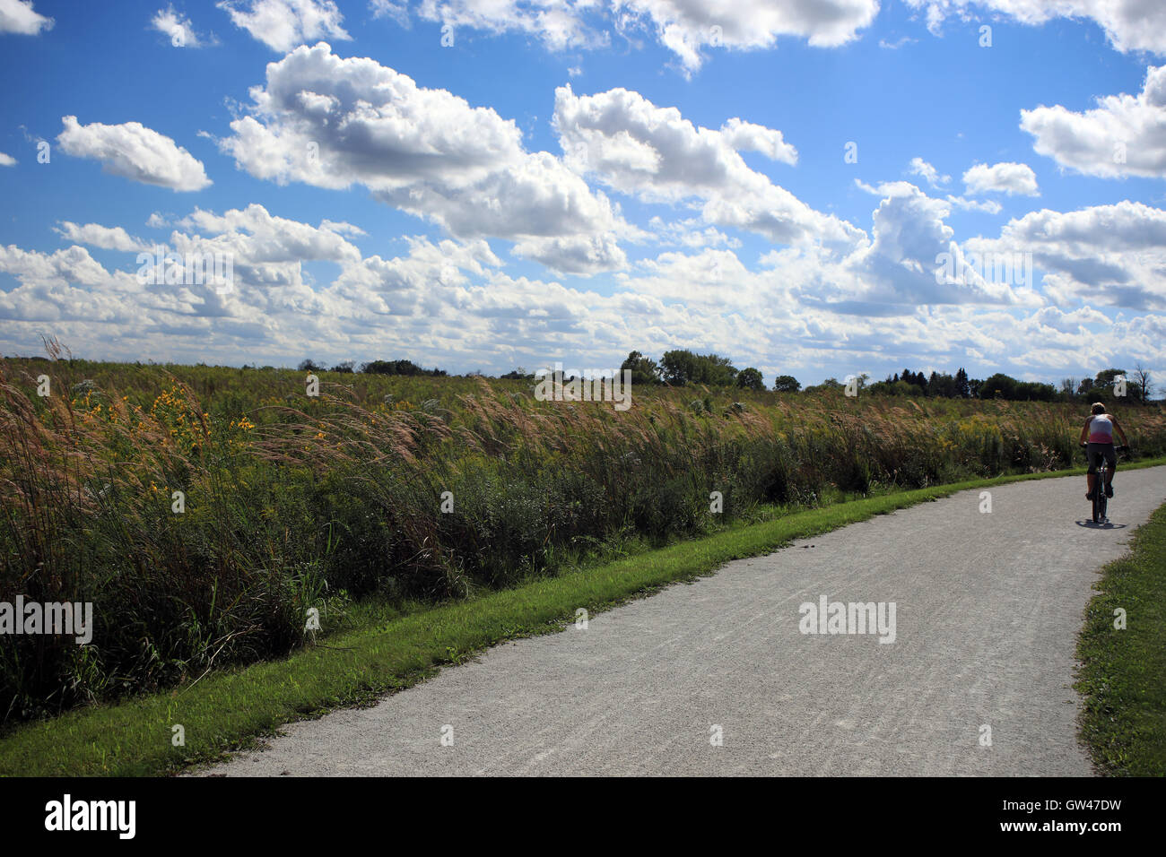 Springbrook Prairie Forest Preserve Stock Photo - Alamy