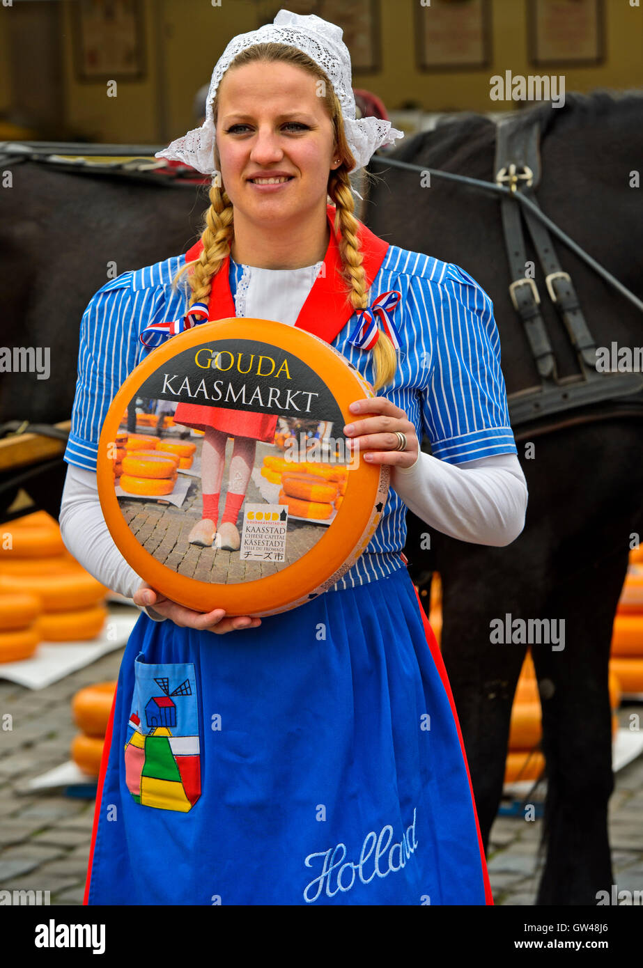 Dutch cheese girl with a Gouda cheese truckle, cheese market Gouda ...