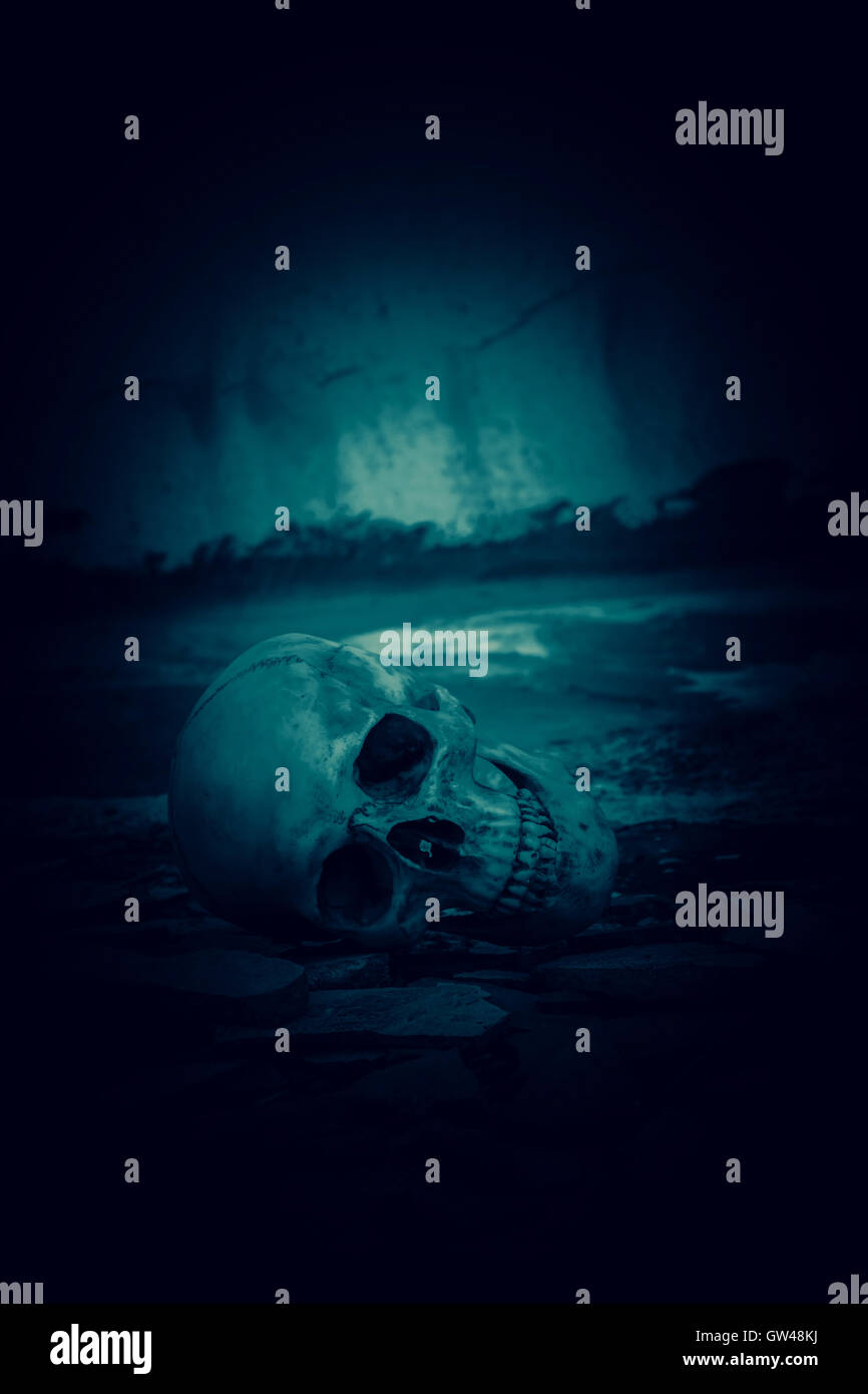 Human skull on ruins place,Horror Background For Halloween Concept And ...