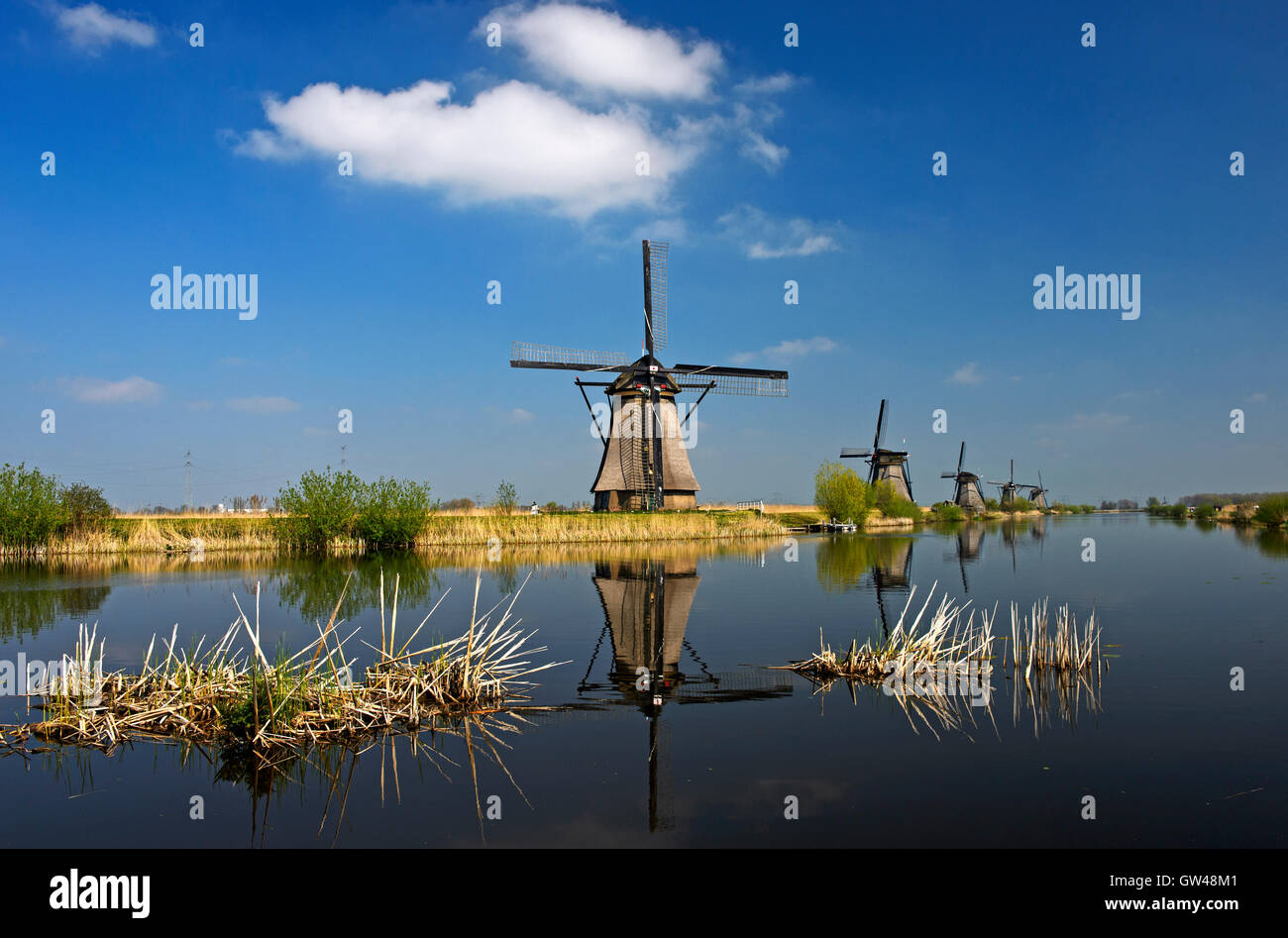 Dutch Windmill at a canal, Kinderdijk, Alblasserwaard polder, South ...