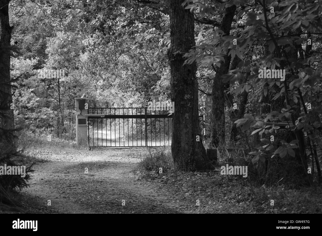 A gate in the nature Stock Photo - Alamy