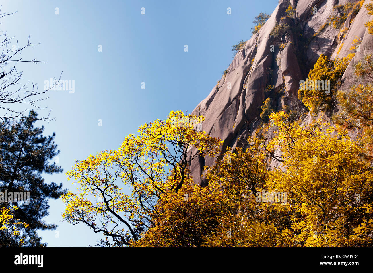 Yellow mountain in huangshan hi-res stock photography and images - Alamy