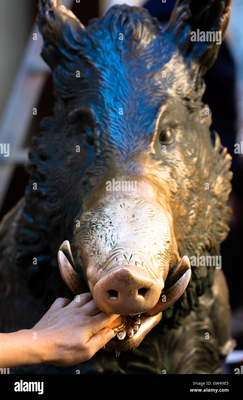 Front view of famous pig's fountain in Florence Stock Photo - Alamy
