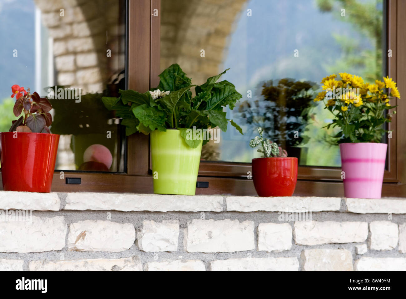Multi-colored flower pots on the windowsill Stock Photo - Alamy