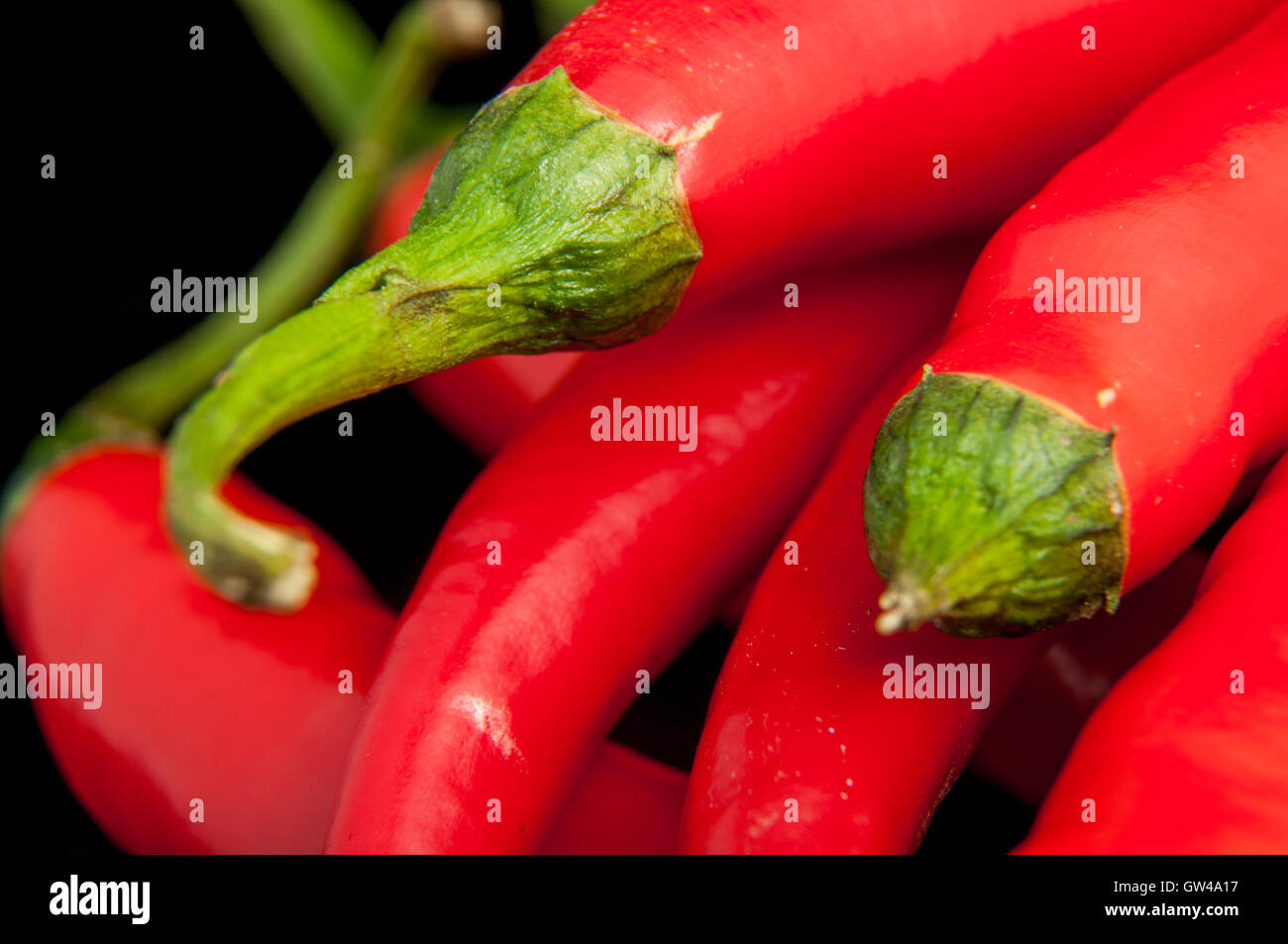 Red Chilli Pepper Stock Photo - Alamy