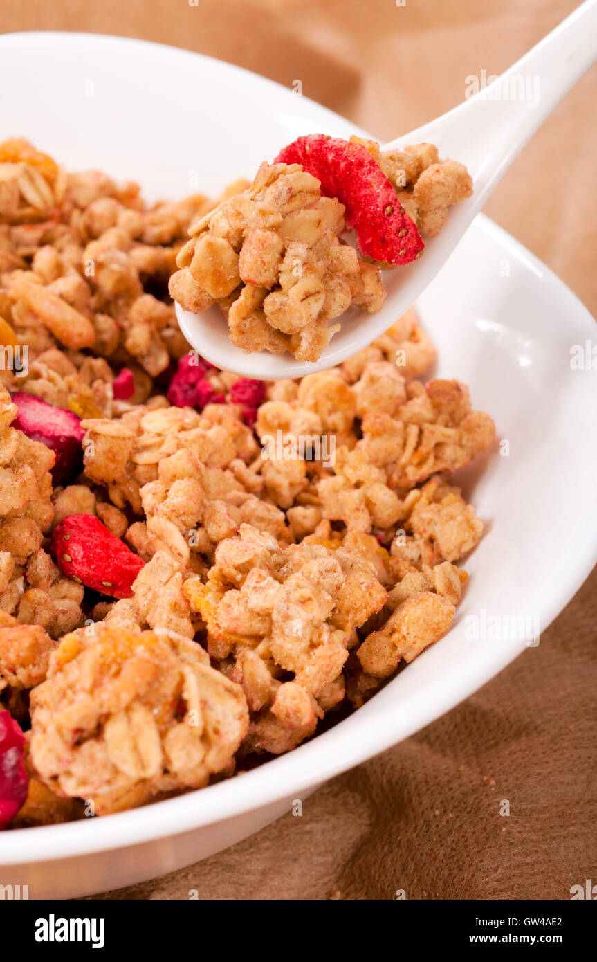 Musle hi-res stock photography and images - Alamy