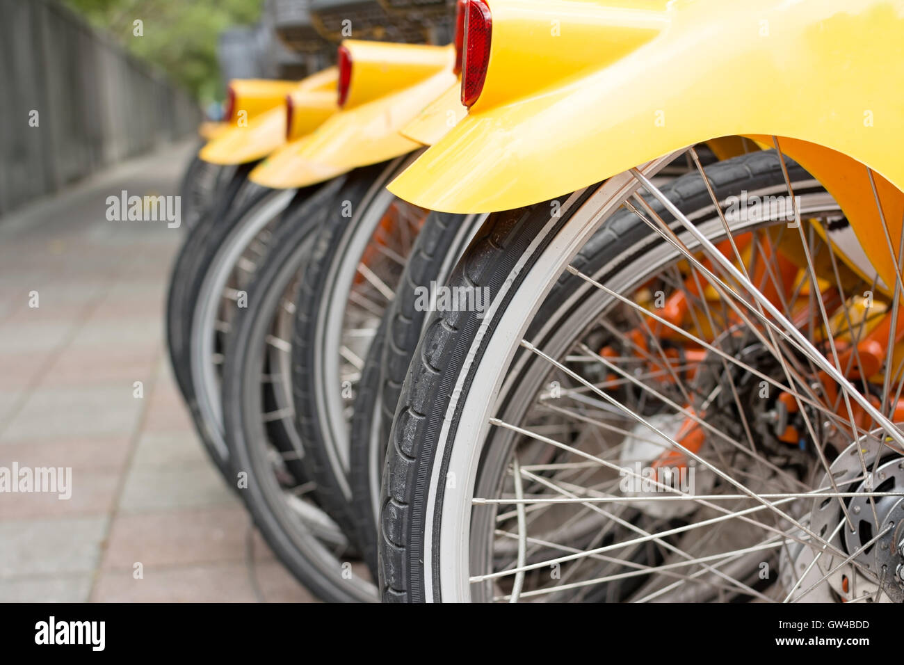 Back detail of bicycles Stock Photo - Alamy