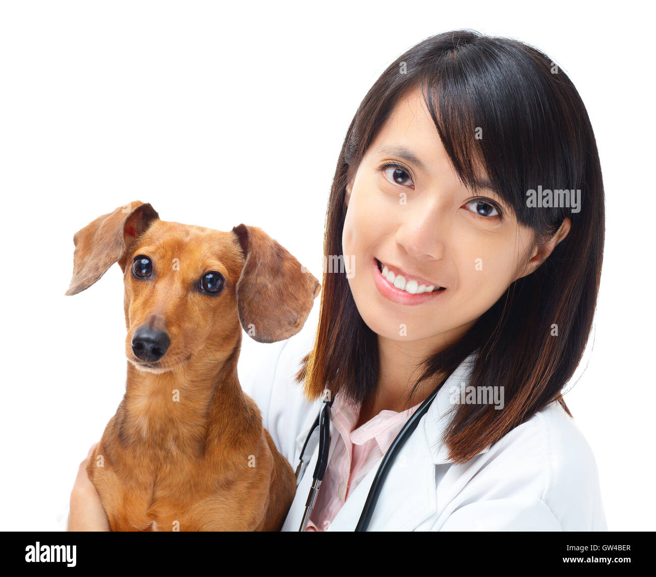 Chinese vet hi-res stock photography and images - Alamy