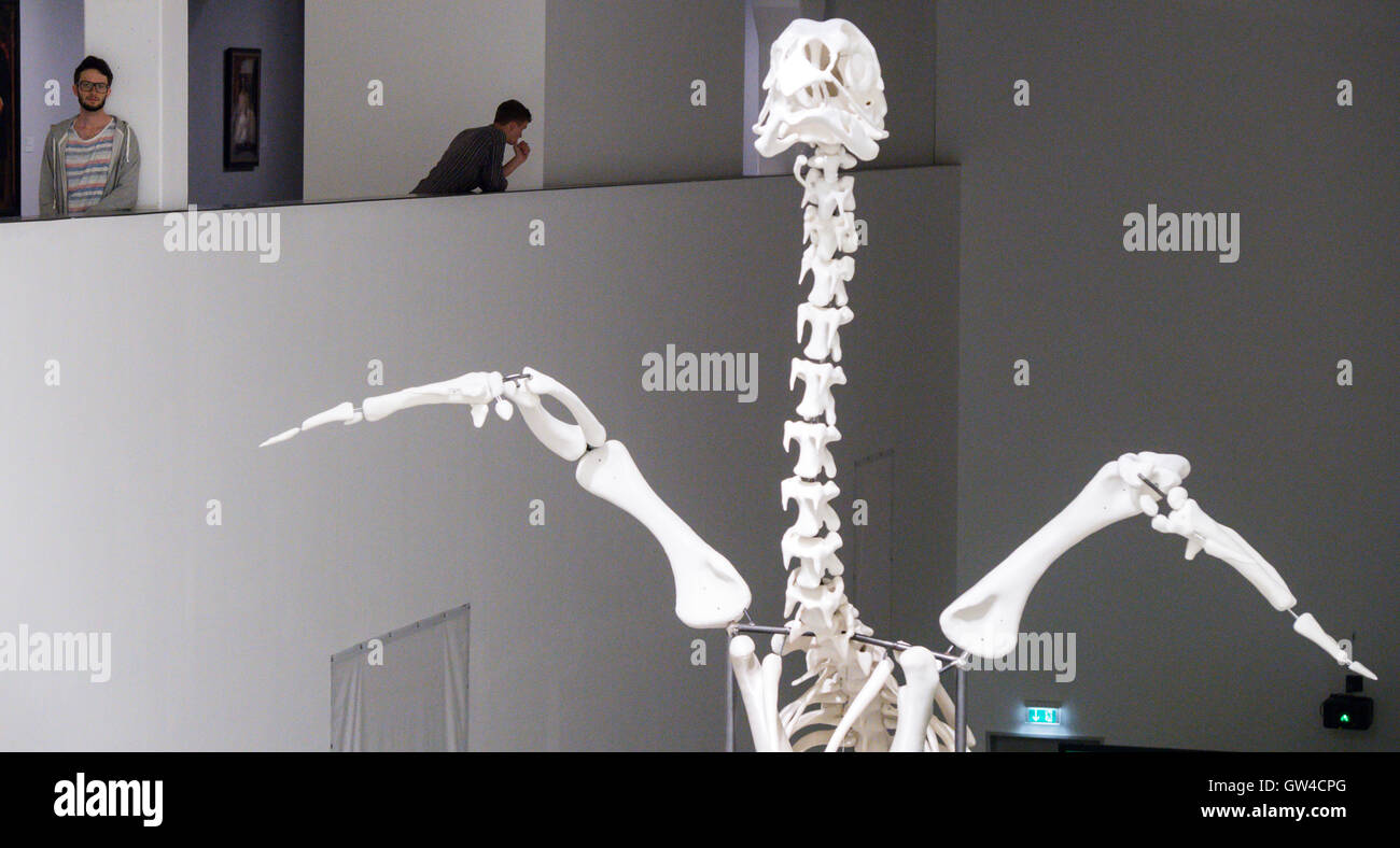 Broiler anatomy hi-res stock photography and images - Alamy