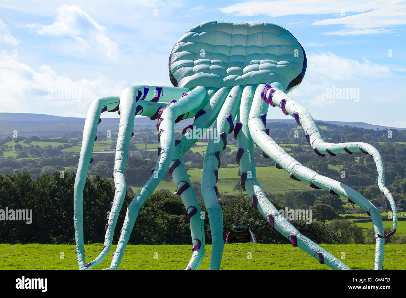 Octopus Cartoon High Resolution Stock Photography and Images - Alamy