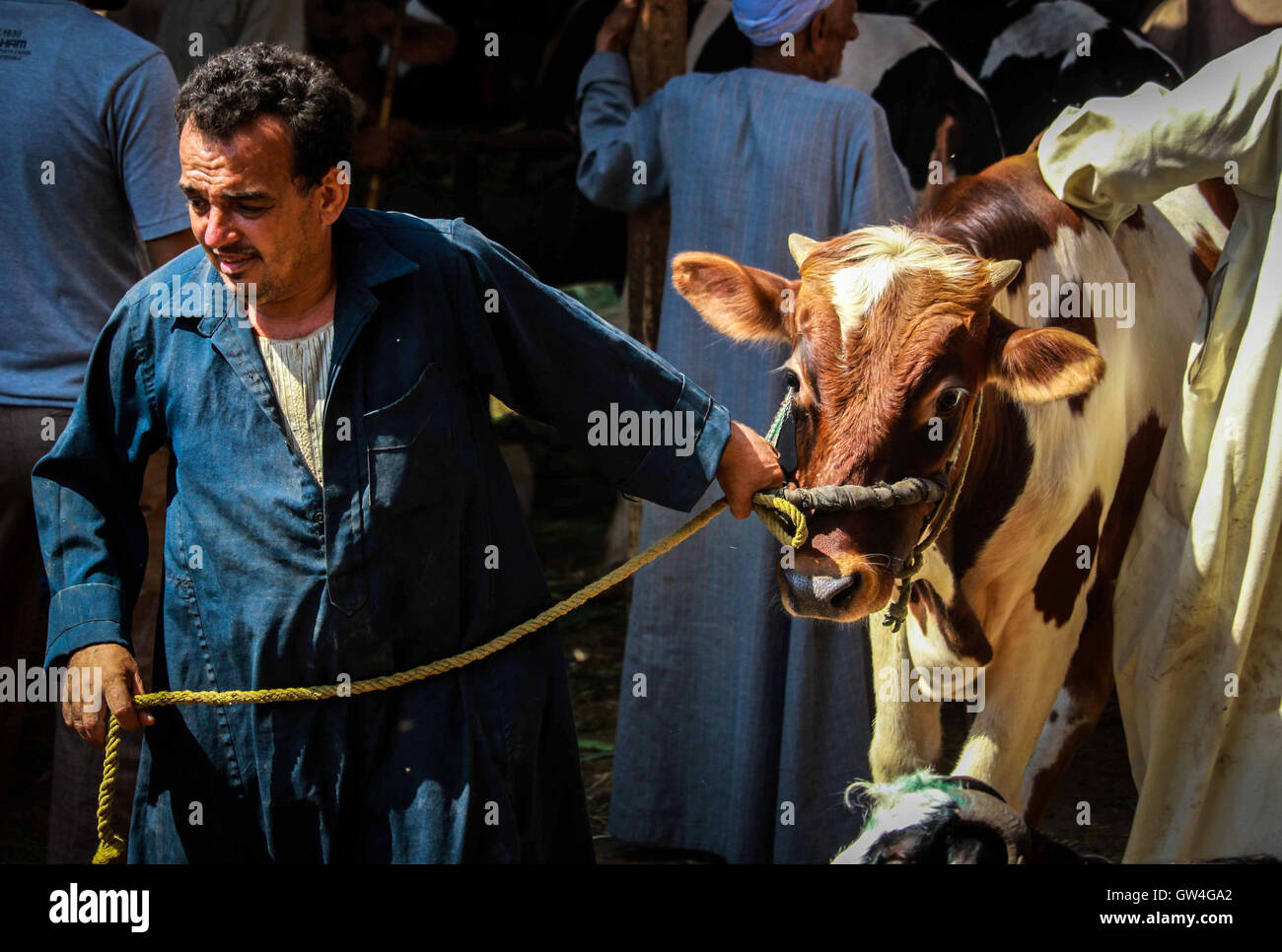 September 6, 2016 - Cairo, Cairo, Egypt - Egyptians gather at a live ...