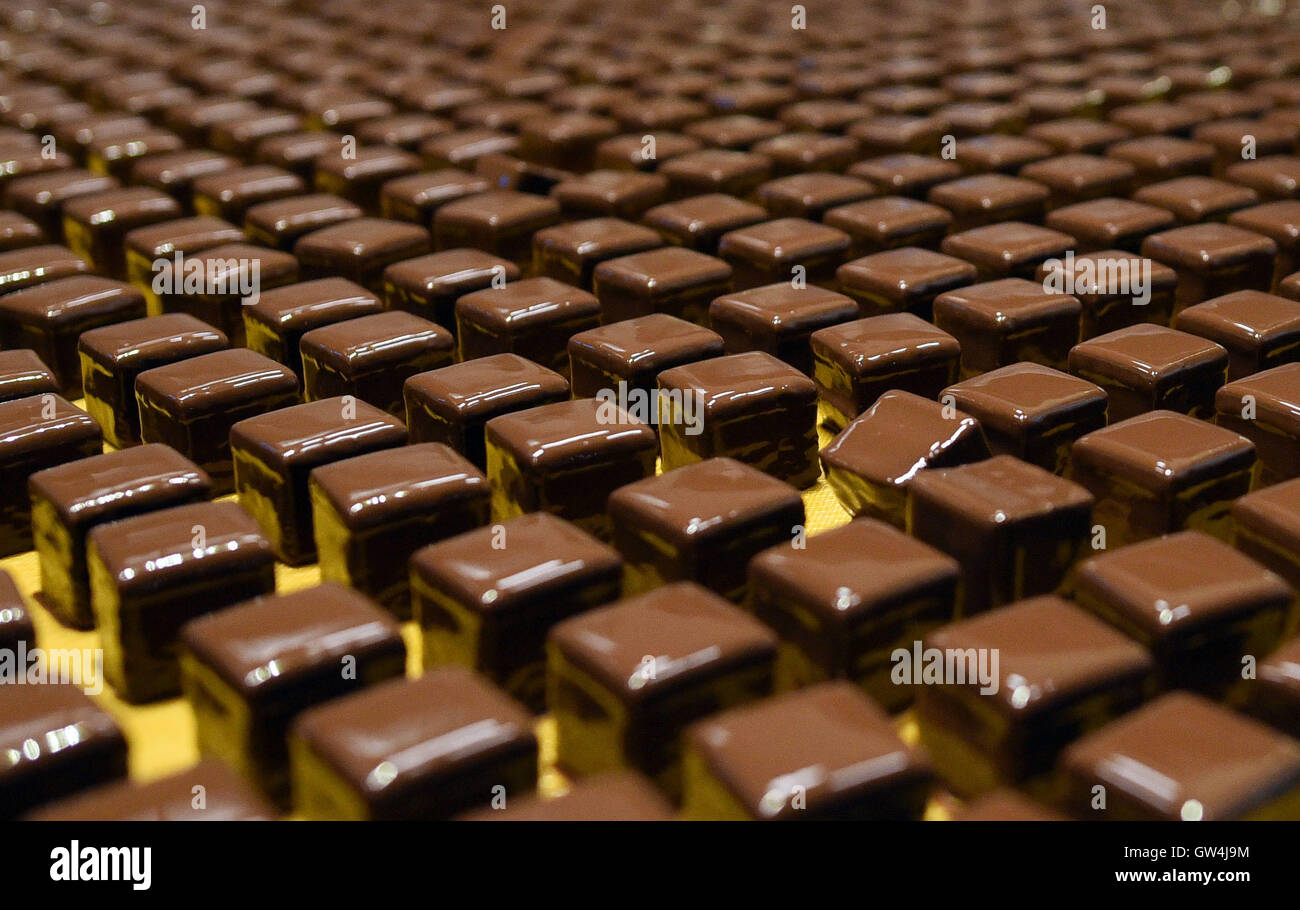View of the production of chocolate and cookies at the chocolate ...