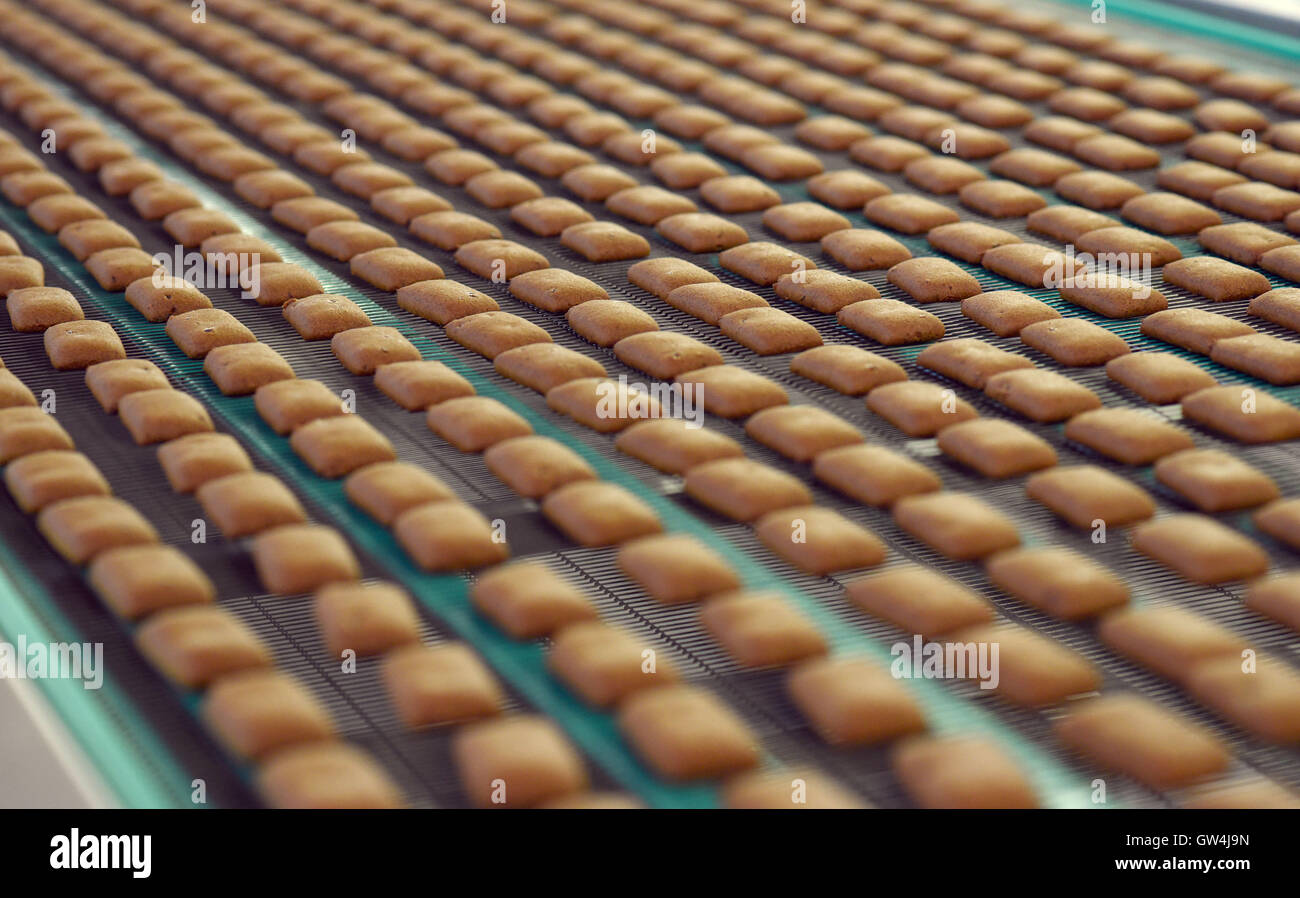 View of the production of chocolate and cookies at the chocolate ...