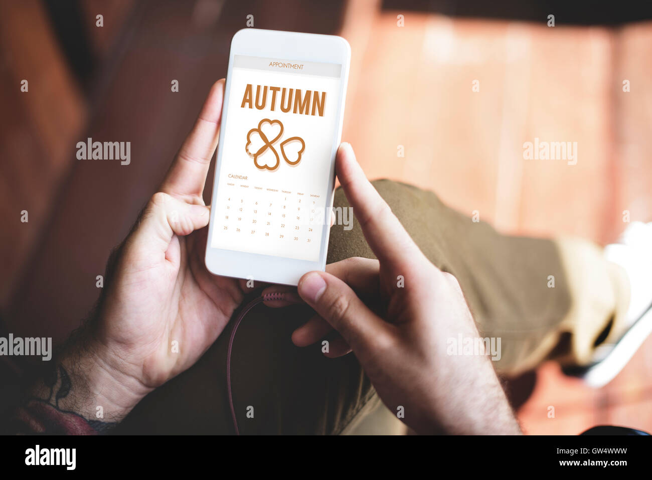 Autumn Season Change Falling Calendar Organization Clover Concept Stock ...