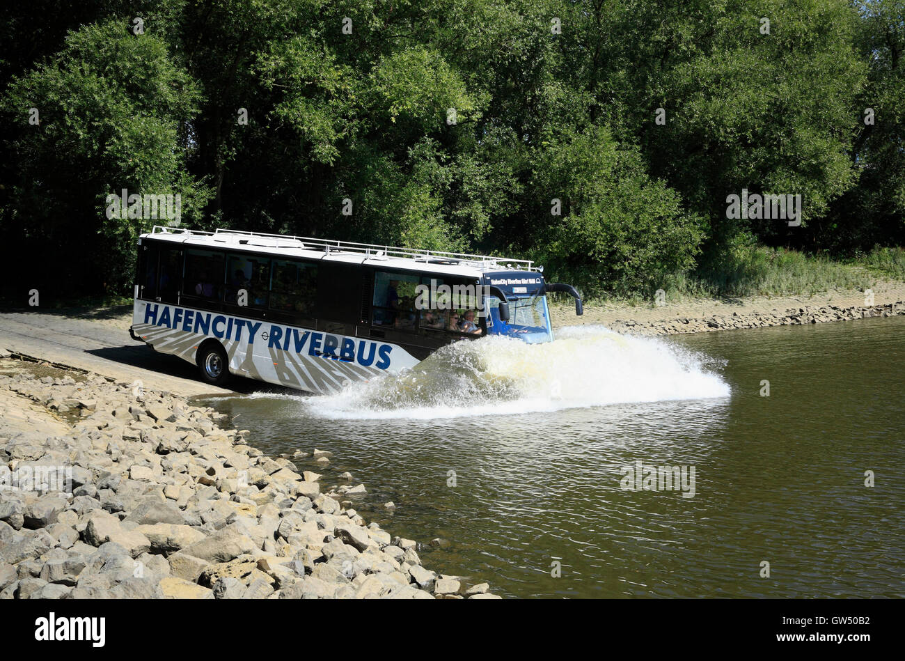 Swimming Sightseeing-bus RIVERBUS in the Elbe river, Entenwerder ...