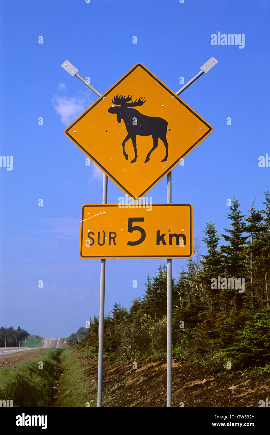 Warning sign on the road for moose crossing, Quebec, Canada Stock Photo ...