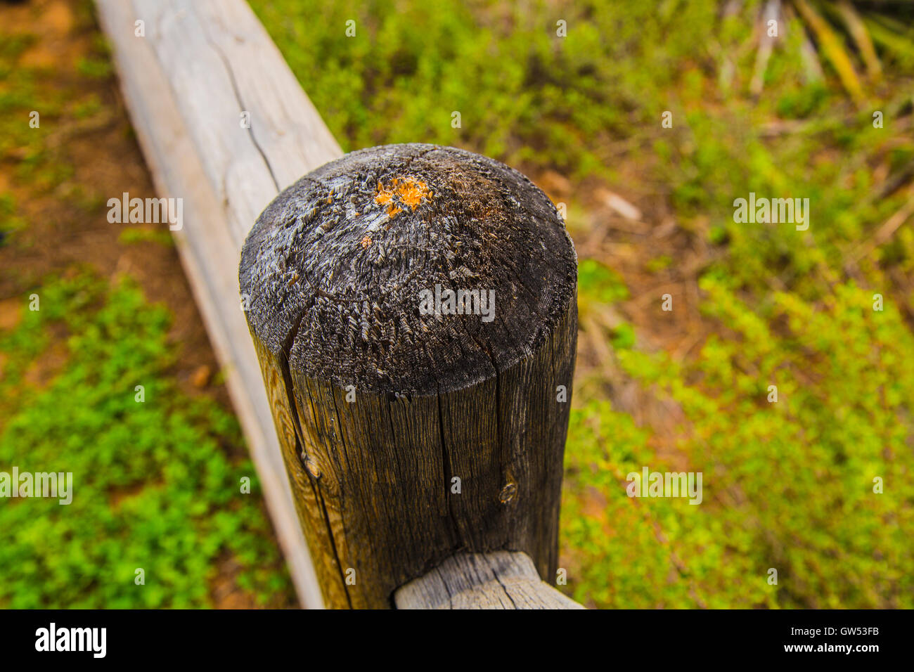 Burned fence post head in Mesa Verde National Park Stock Photo - Alamy