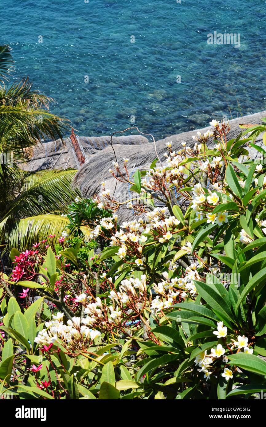 Crystal Terrace High Resolution Stock Photography and Images - Alamy