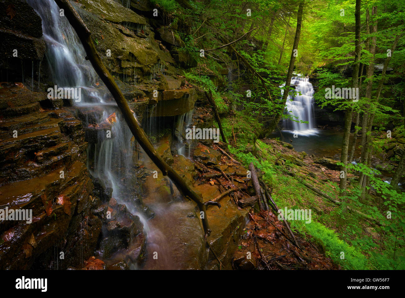 Big run state park hi-res stock photography and images - Alamy