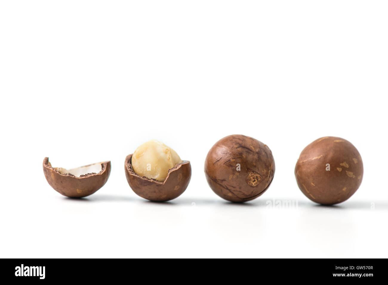 row of macadamia nuts on white background Stock Photo - Alamy