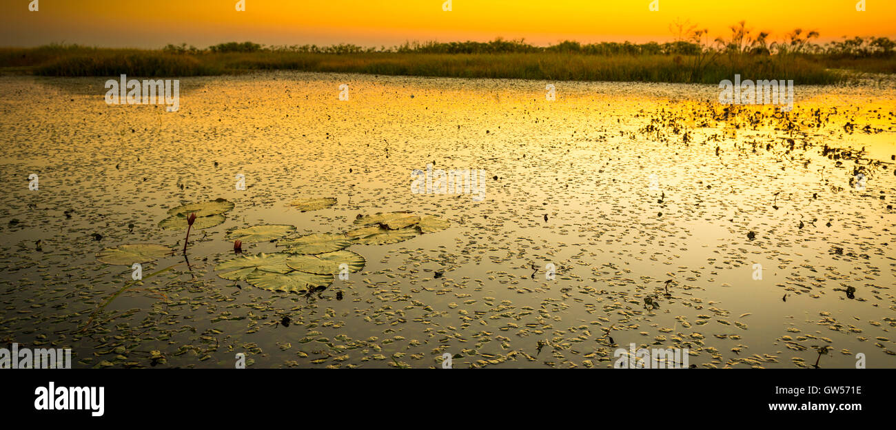 Sunset over the Chobe River in Chobe National Park, Botswana, Africa ...