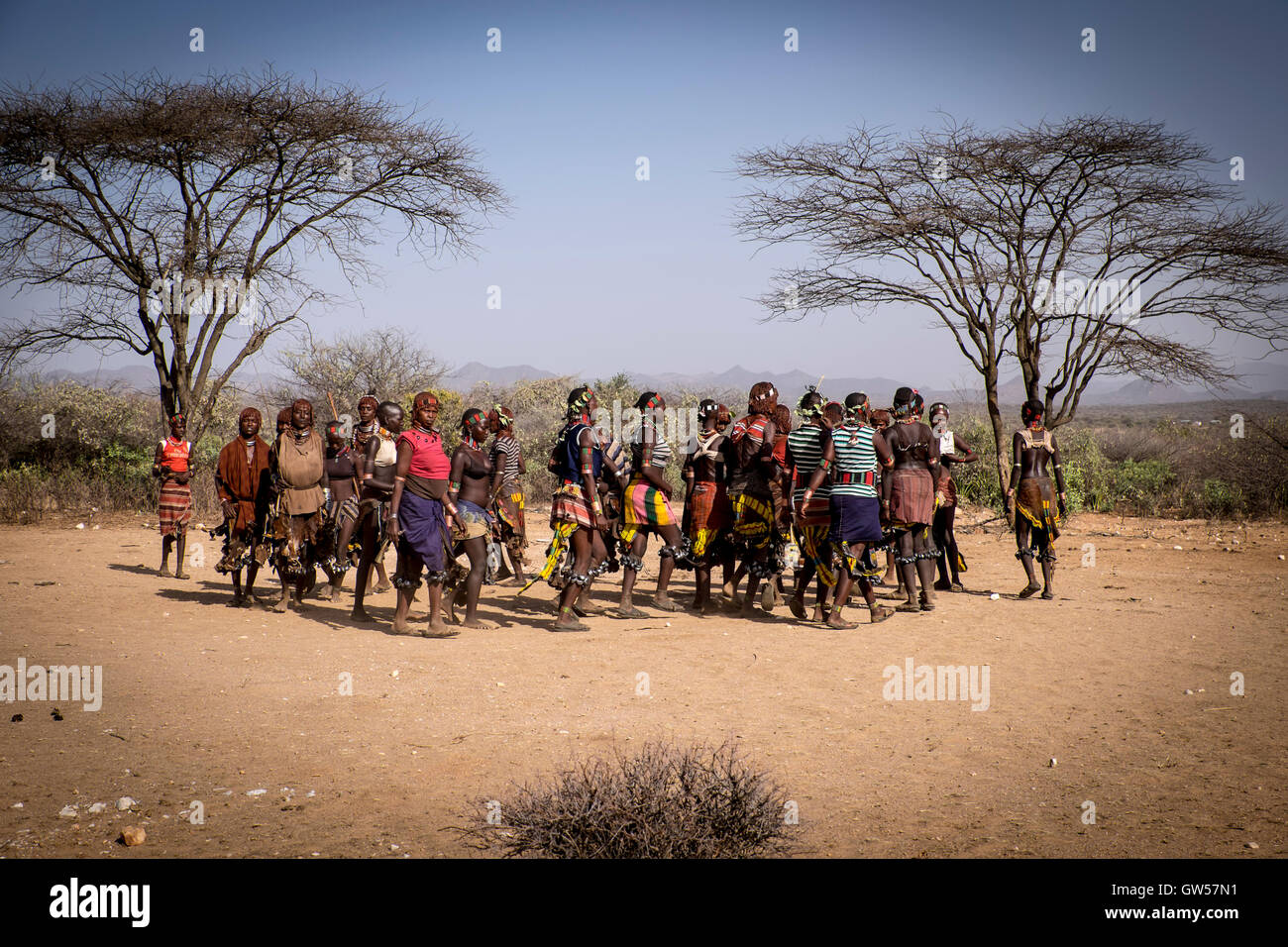 Women of the Hamer tribe of the Omo Valley of Ethiopia dance a ritual ...