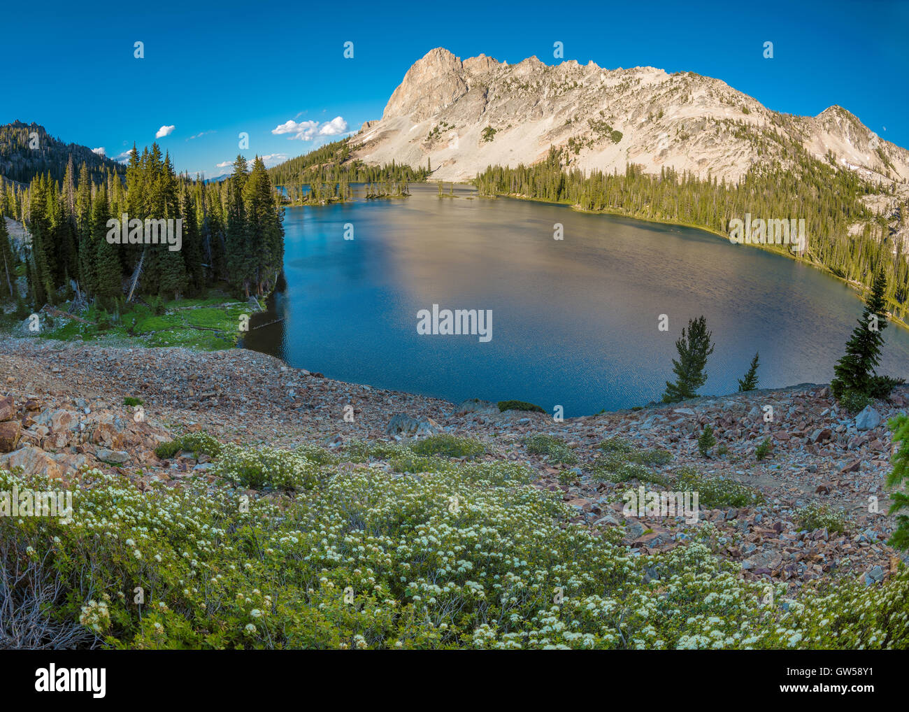 Idaho mountain lake with wildflowers and forest Stock Photo - Alamy
