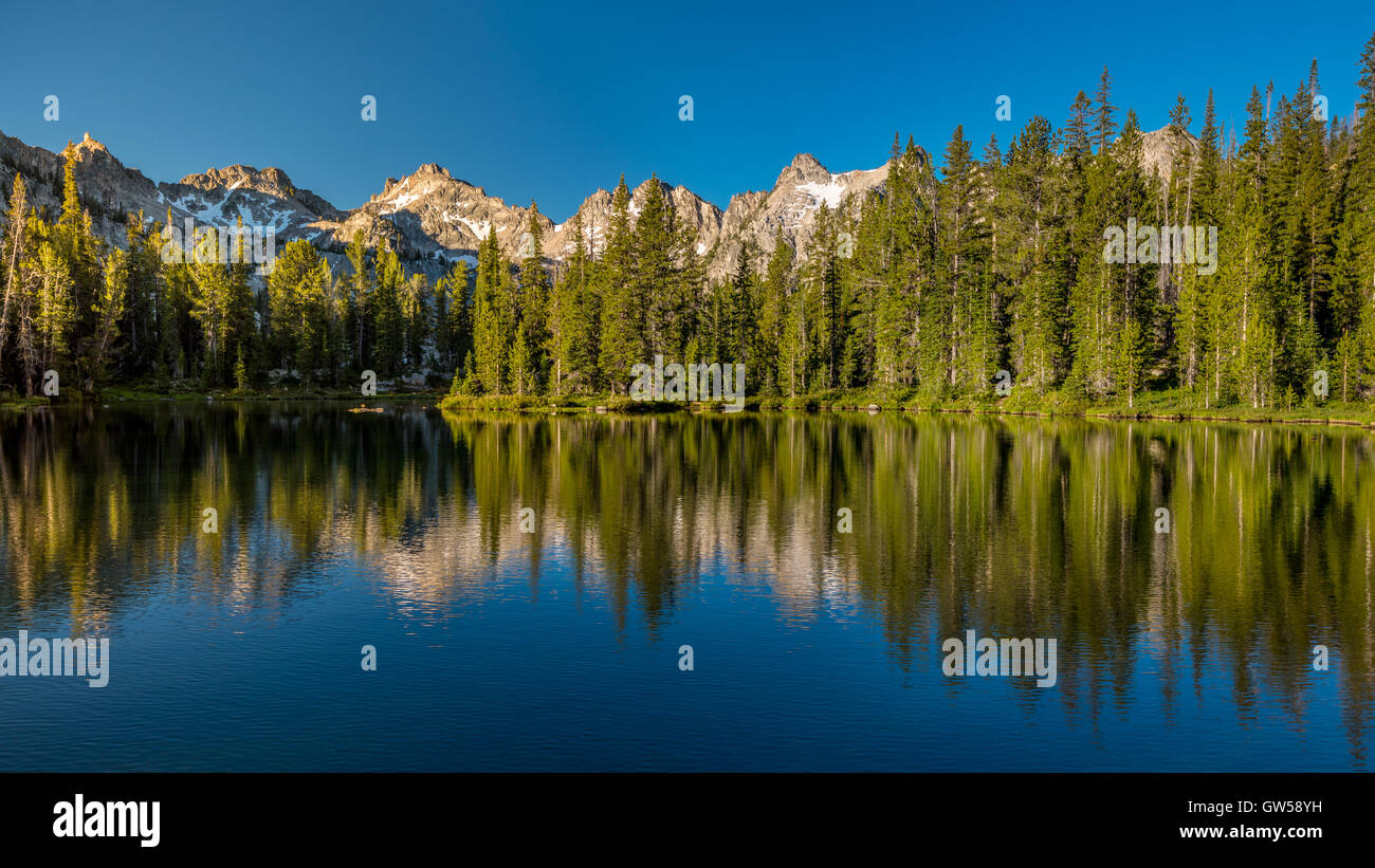 Mountain lake and forest tree reflection Stock Photo - Alamy