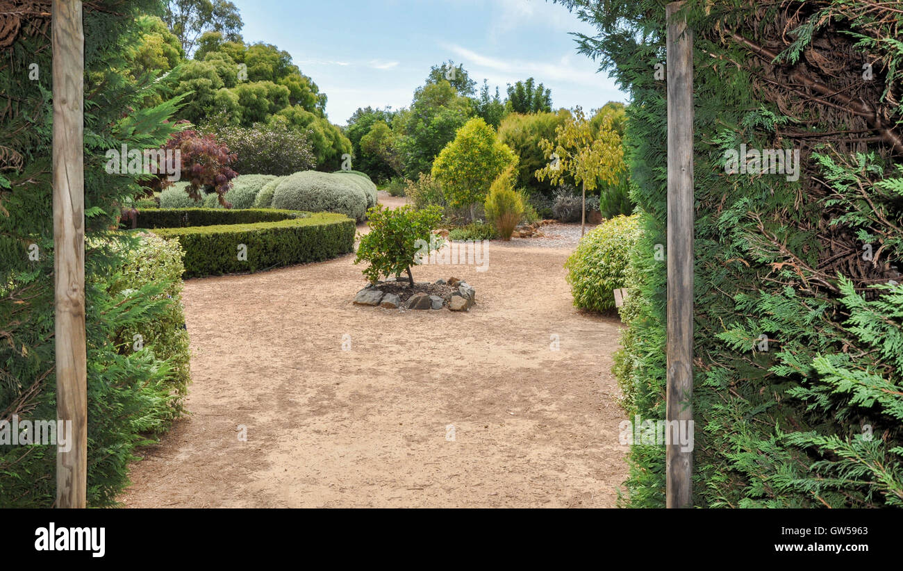 Looking through the hedge hi-res stock photography and images - Alamy