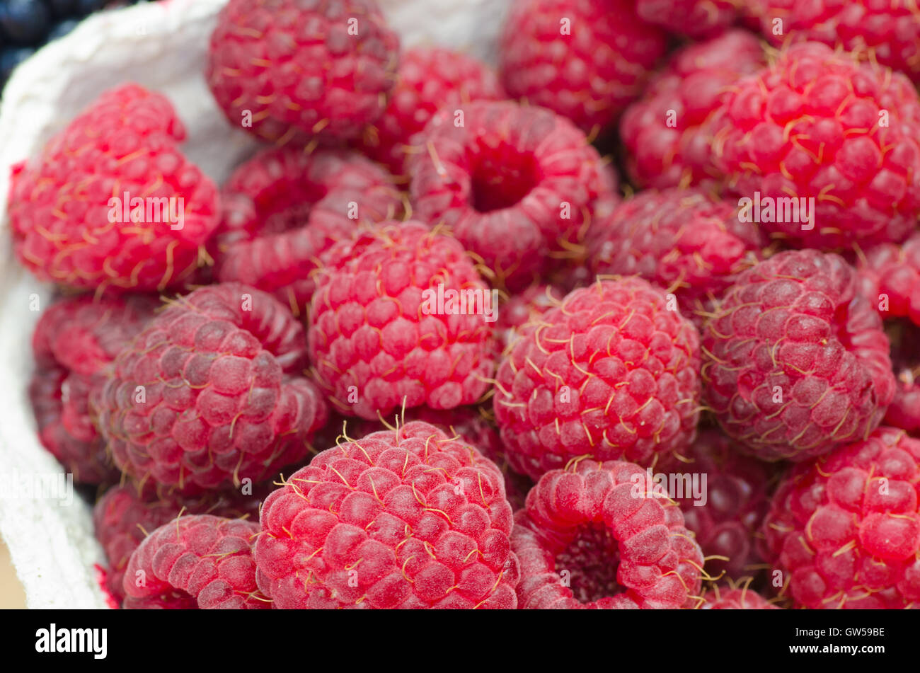 closeup to group of fresh raspberries and blackberries Stock Photo - Alamy