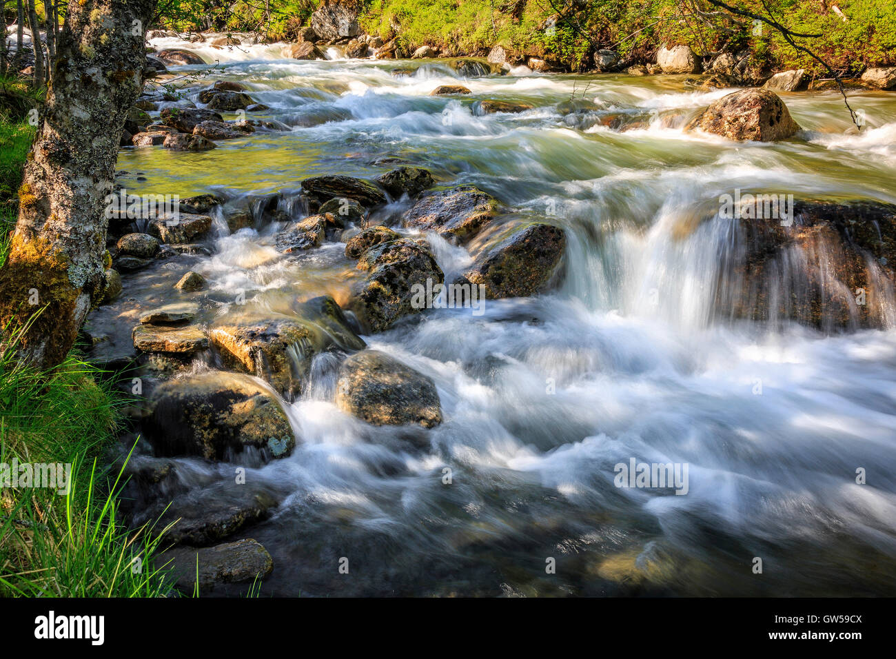 Stream behind Innvik in Norway Stock Photo - Alamy