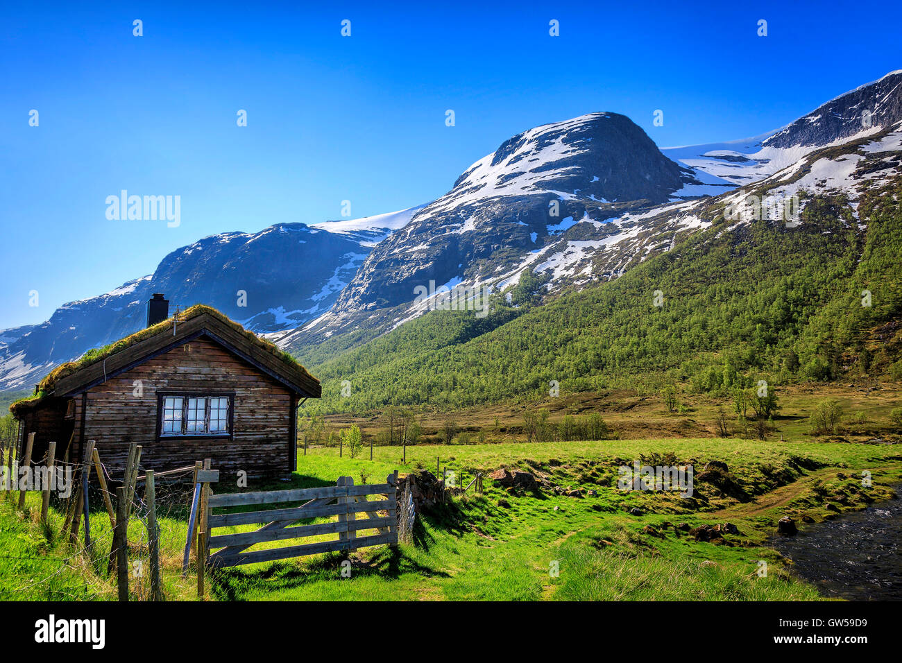 A hut in the summer pastures behind Innvik in Norway Stock Photo - Alamy