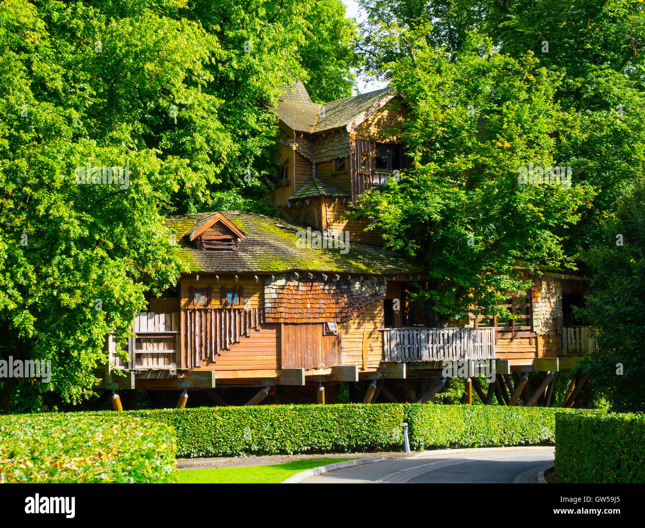 Treehouse uk hi-res stock photography and images - Alamy