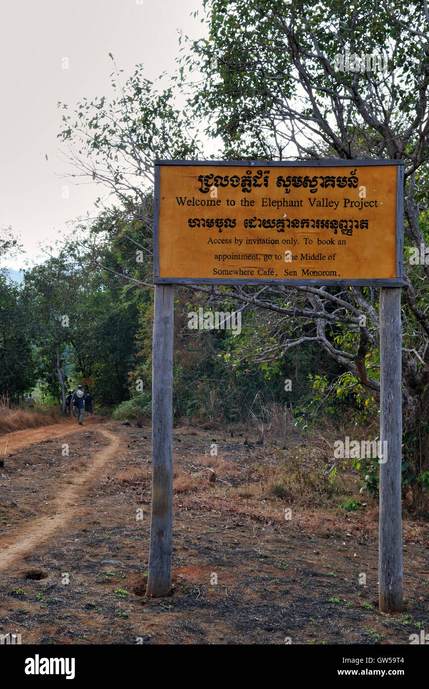 Rehabilitation project hi-res stock photography and images - Alamy