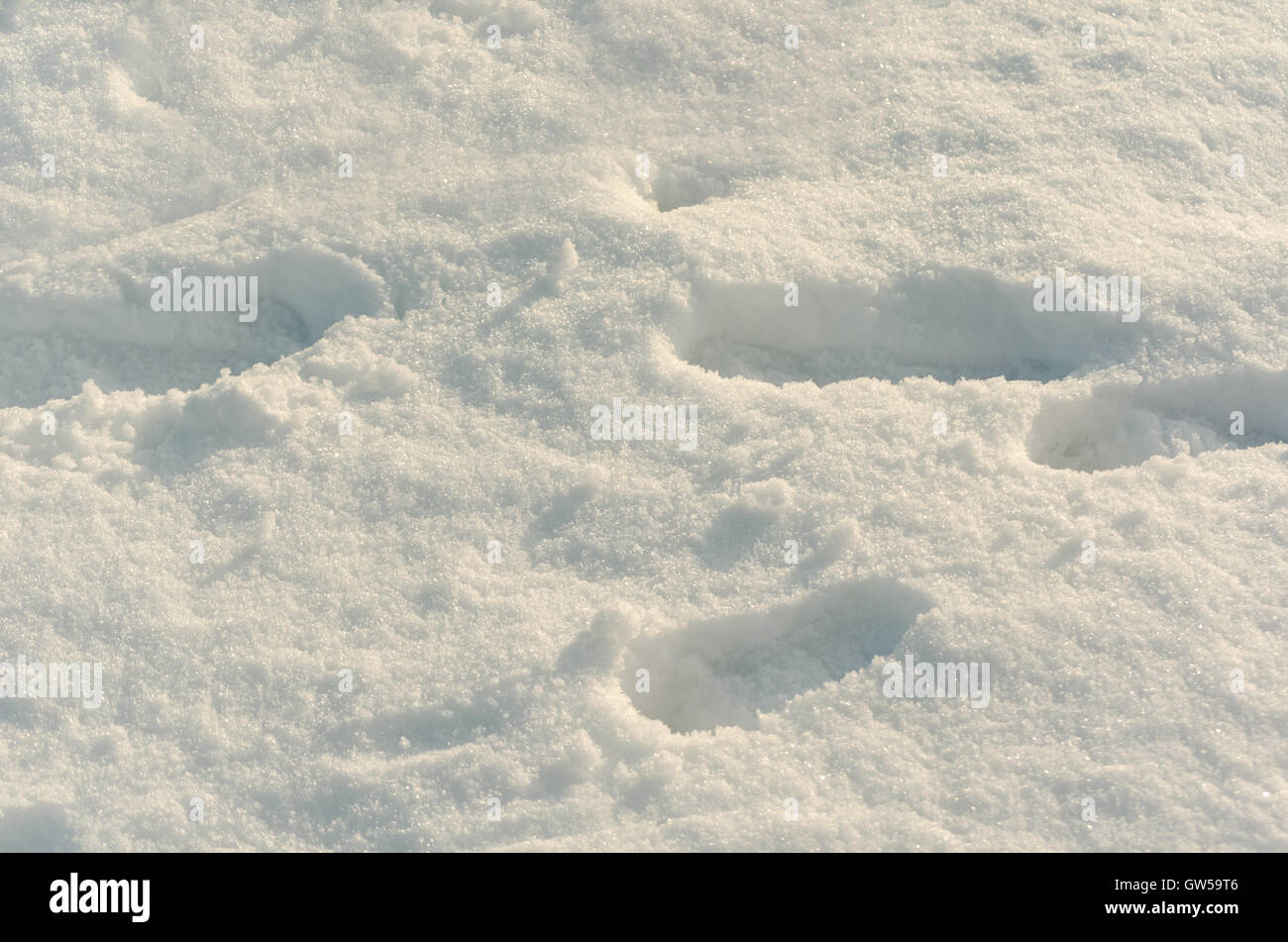 Footsteps in white snow. Frozen winter scene. Holidays concept Stock ...