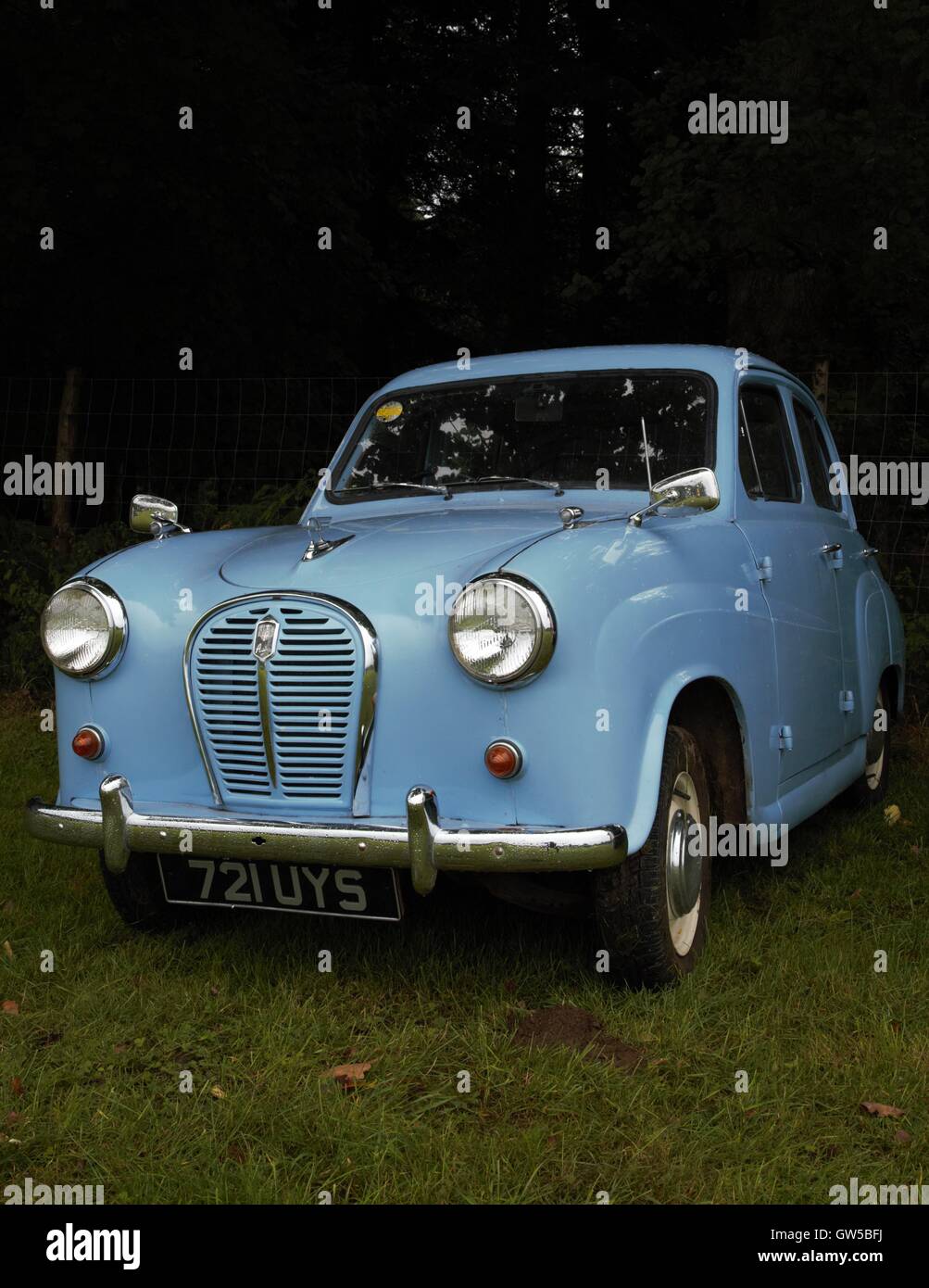 Austin A35 classic 1950's car Stock Photo - Alamy