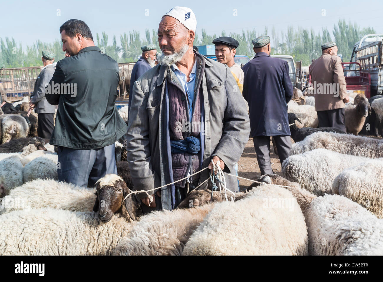 Bartering for Sheep at Livestock Market, Kashgar, China Stock Photo - Alamy