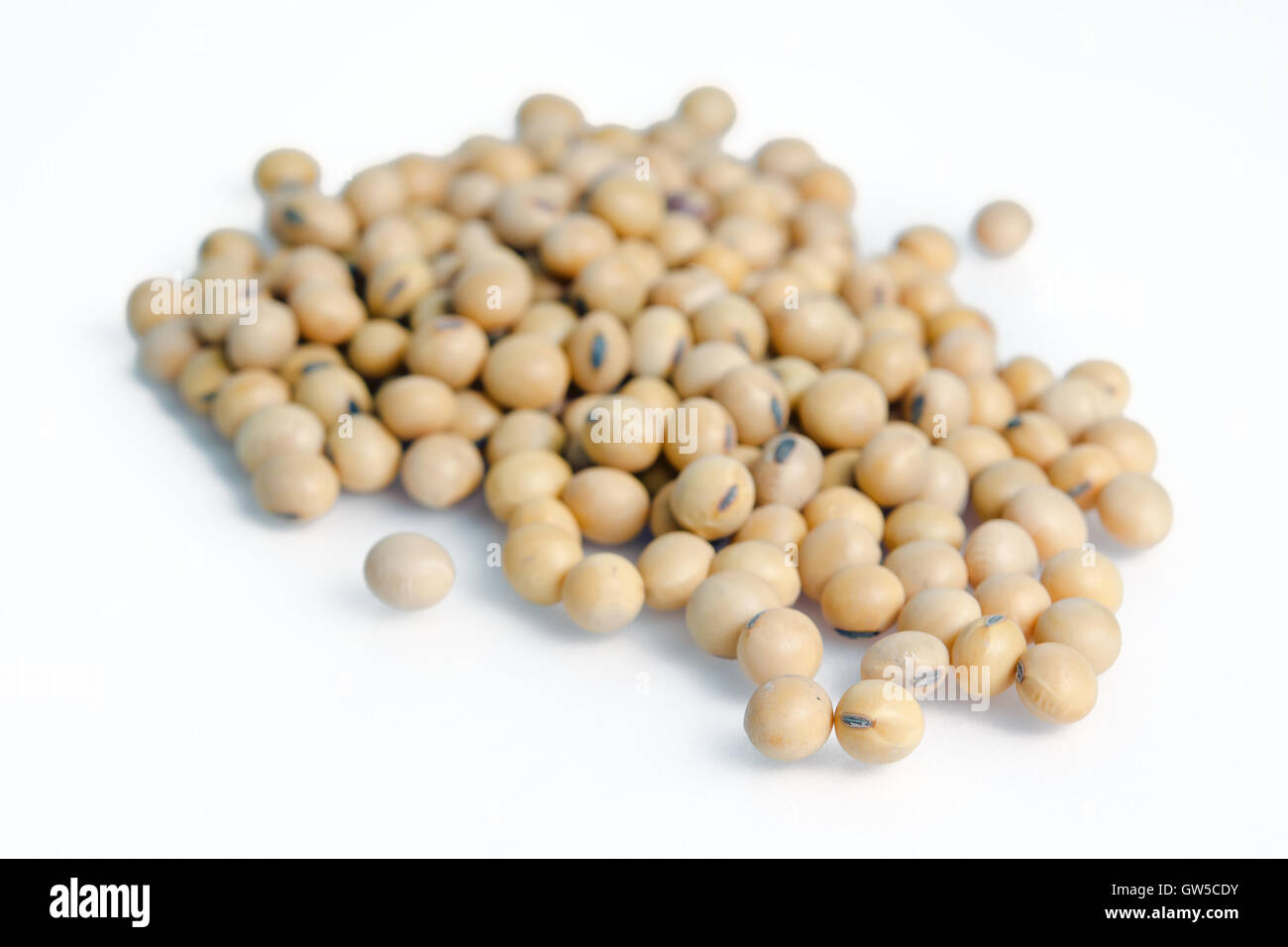 Soyabean soybean soyabeans soybeans hi-res stock photography and images ...