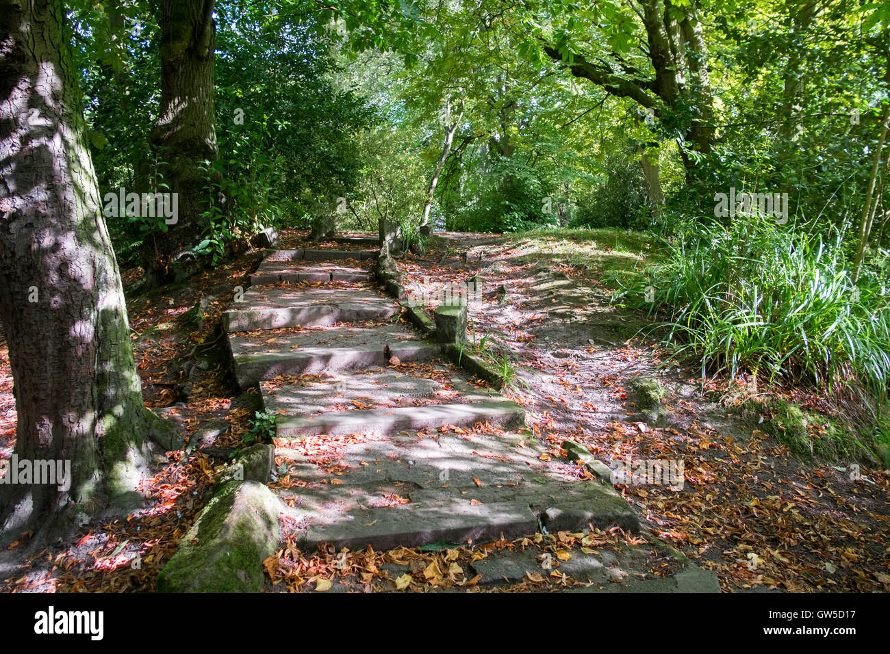 A path leading away with steps & the first signs of autumn leaf fall on ...