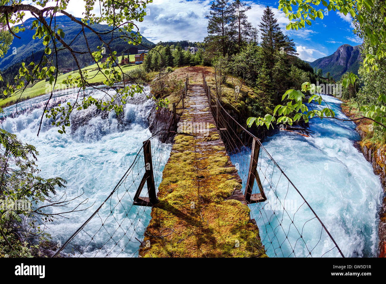 Suspension Bridge Nature Mountain Golden Skybridge: Canada's Highest