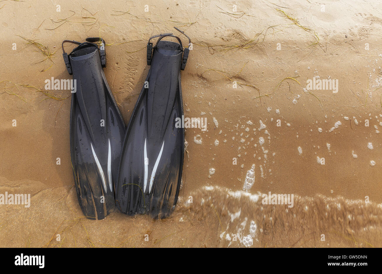 Sand flippers hi-res stock photography and images - Alamy